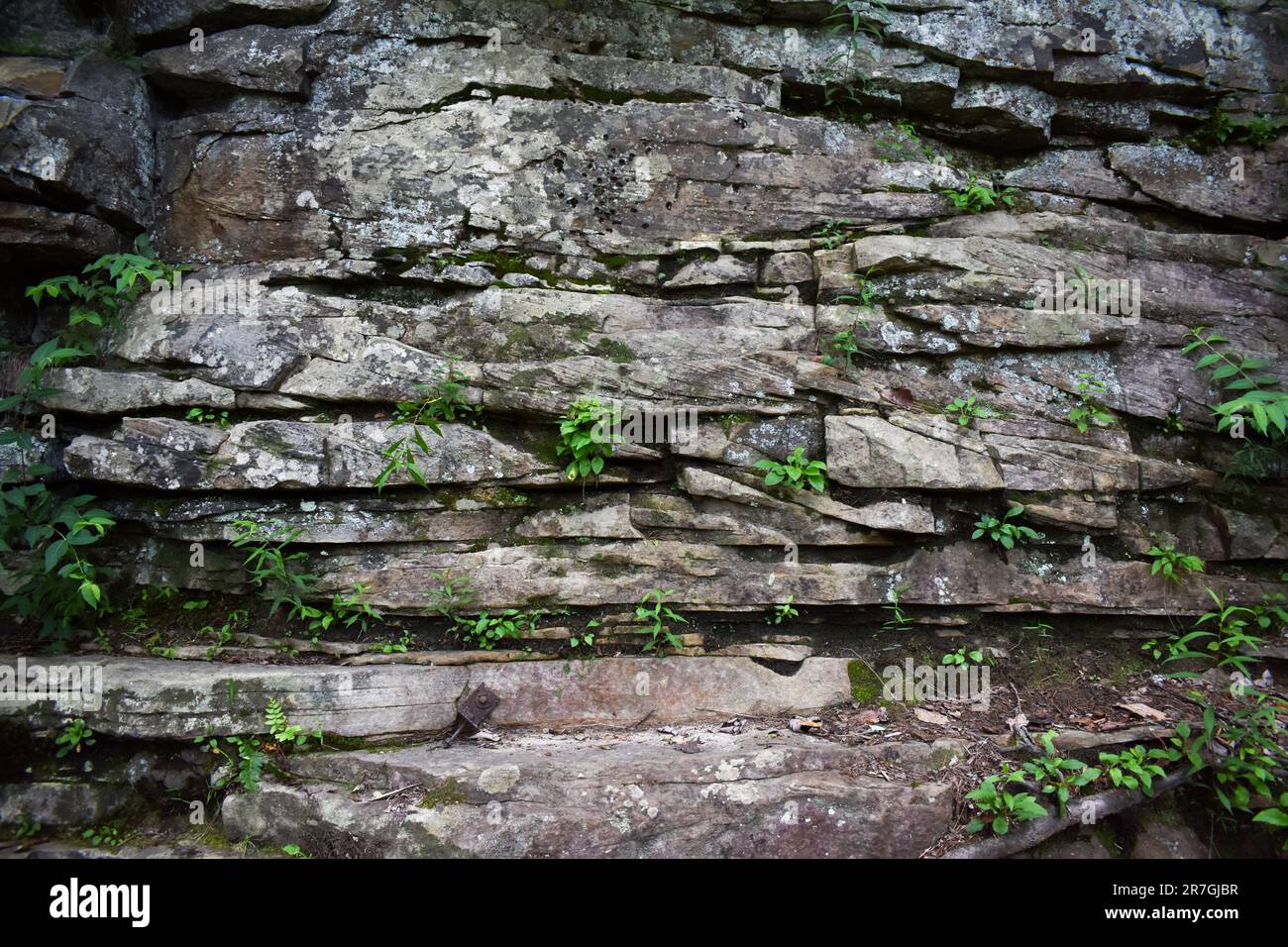 Rock crevices hi-res stock photography and images - Alamy