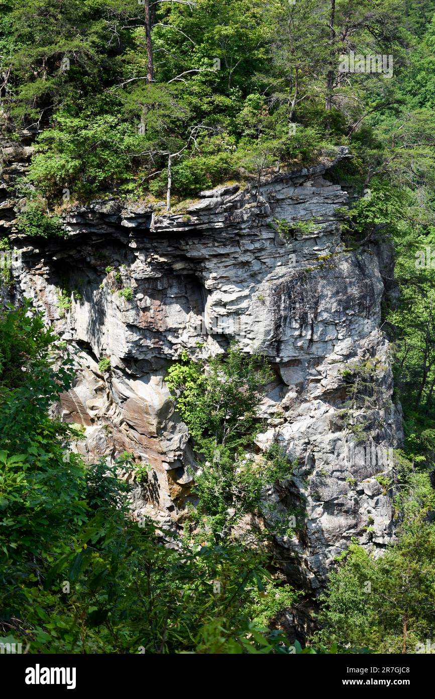Craggy mountain canyon cliff rock wall Stock Photo - Alamy