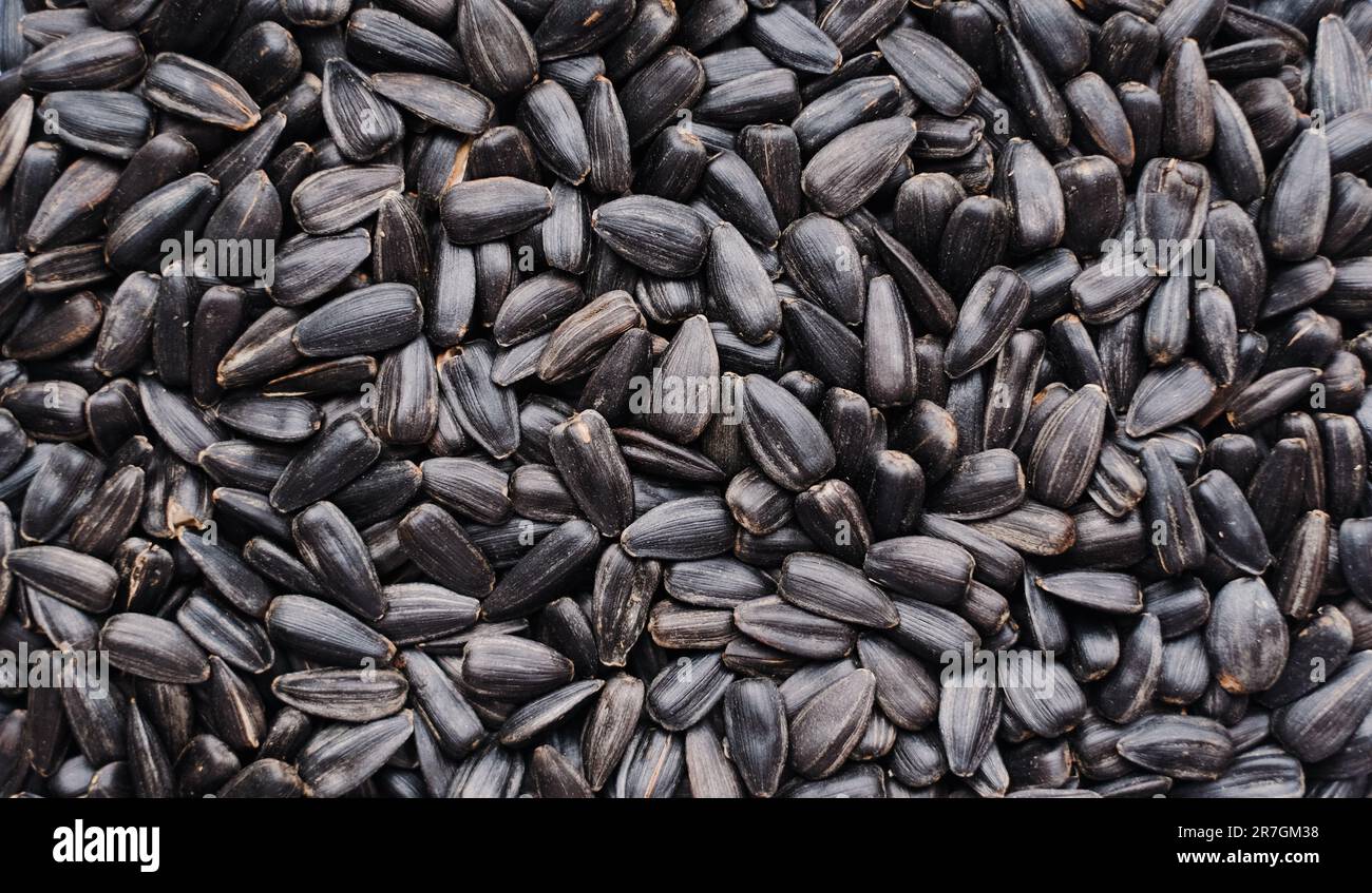 Background from sunflower seeds, close-up Stock Photo - Alamy