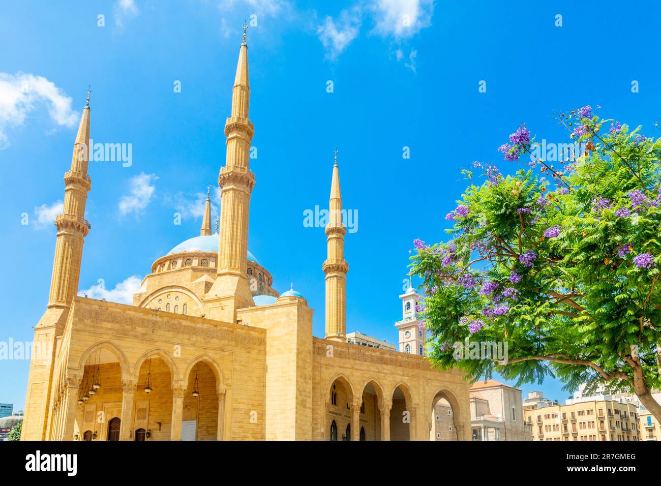 Blue dome of Mohammad Al-Amin Mosque with blooming jacaranda tree in ...