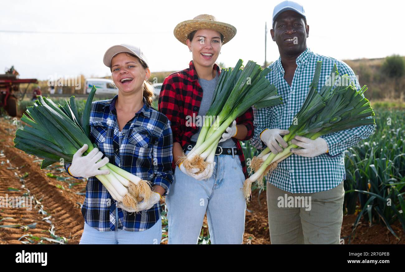 Cheerful agricultural workers posing with harvested leeks on field ...