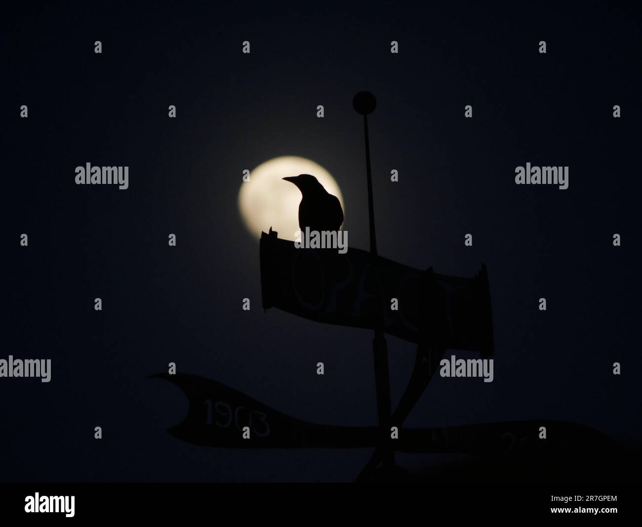 A scenic shot of a black crow sitting on a turbine on a clear night ...