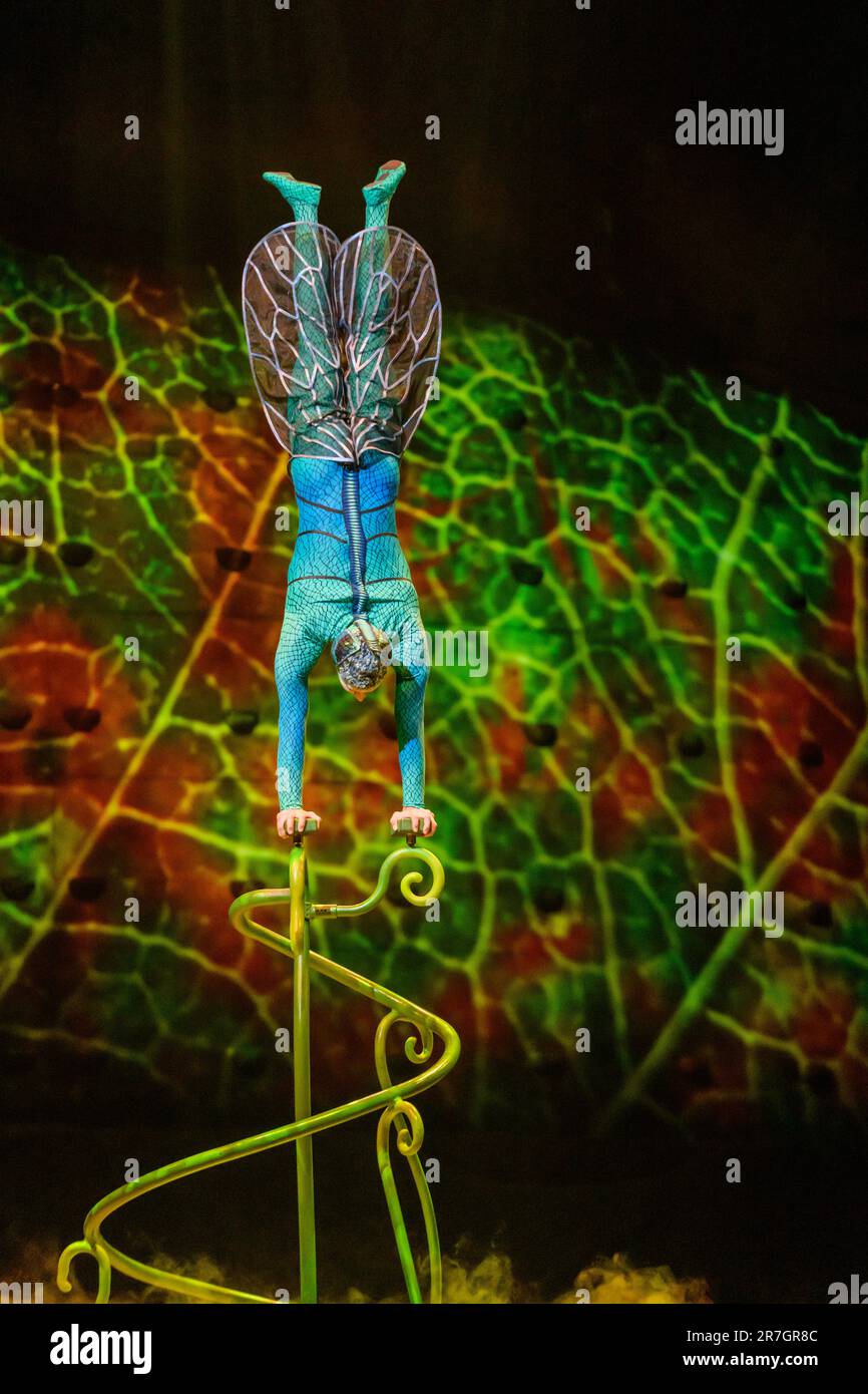 Ovo show cirque du soleil hi-res stock photography and images - Alamy