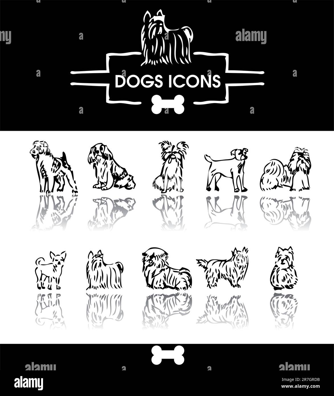 The english pug Stock Vector Images - Alamy