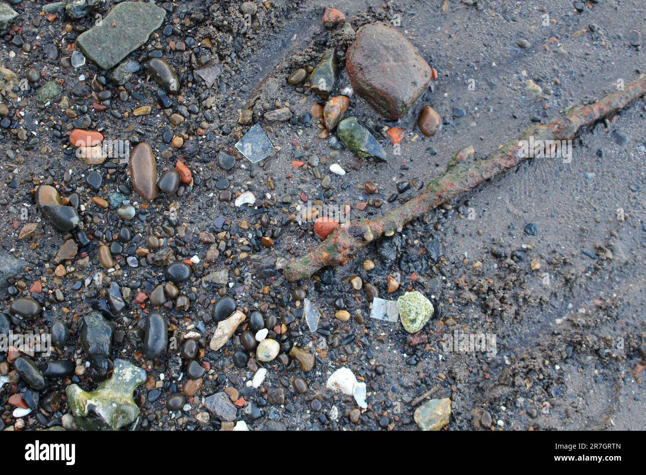 Pollution washed assure onto the beach - environmental harm to wildlife ...