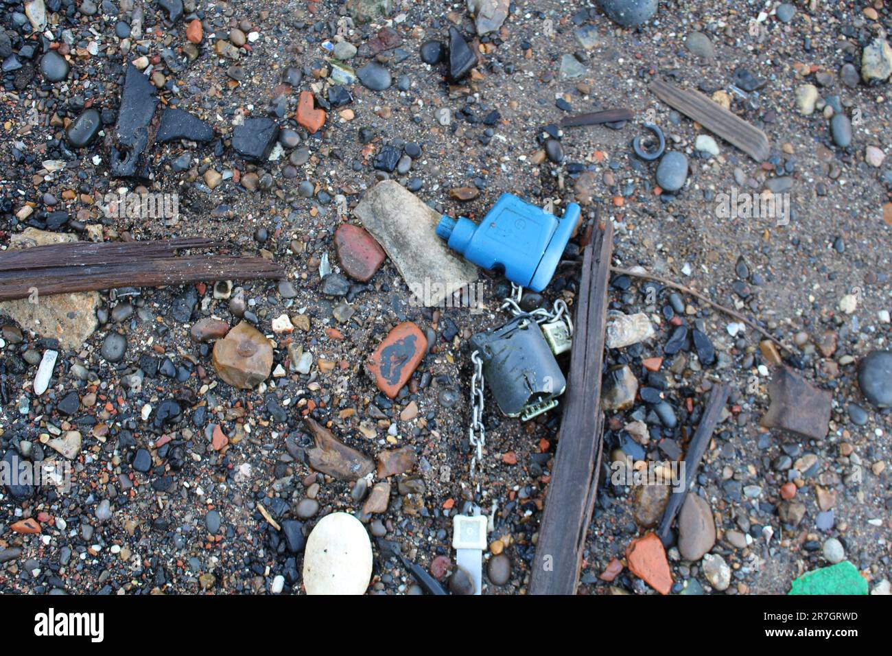 Pollution washed assure onto the beach - environmental harm to wildlife ...
