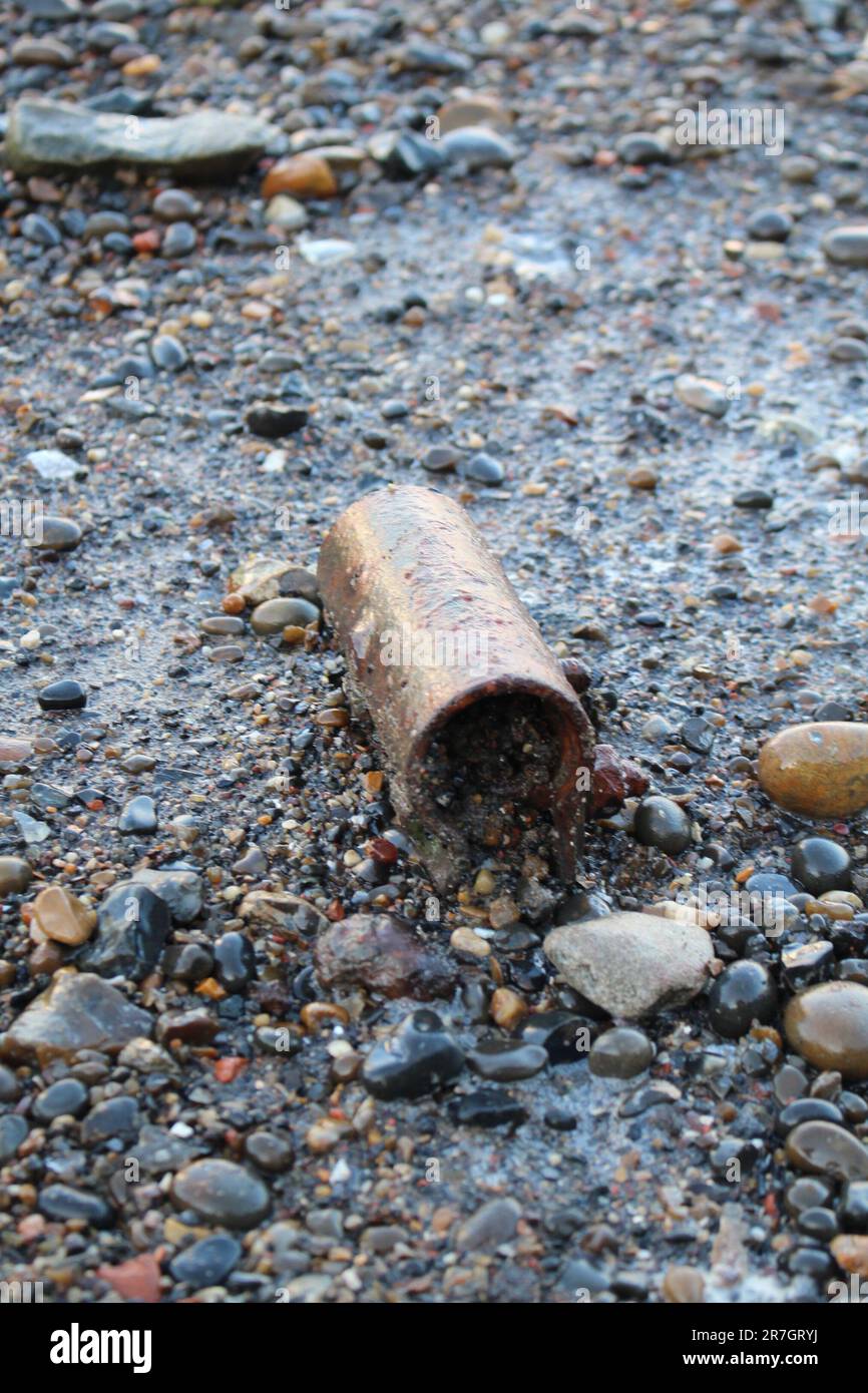 Pollution washed assure onto the beach - environmental harm to wildlife ...