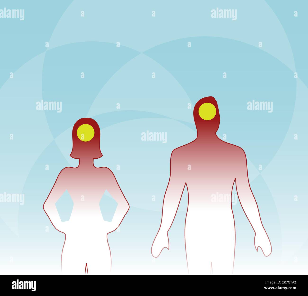 Human skull medical poster hi-res stock photography and images - Alamy