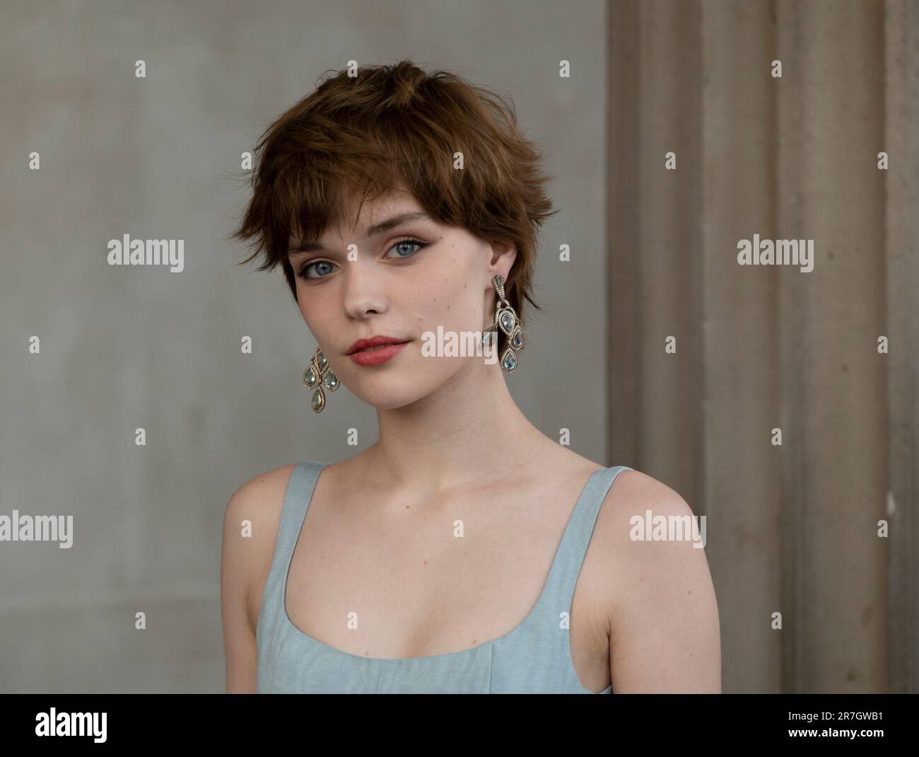 Delphi primrose hi-res stock photography and images - Alamy