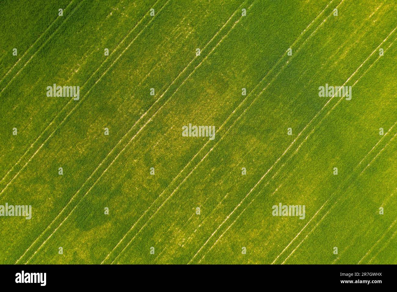 Aerial view of lush green grass field with a plane flying overhead ...