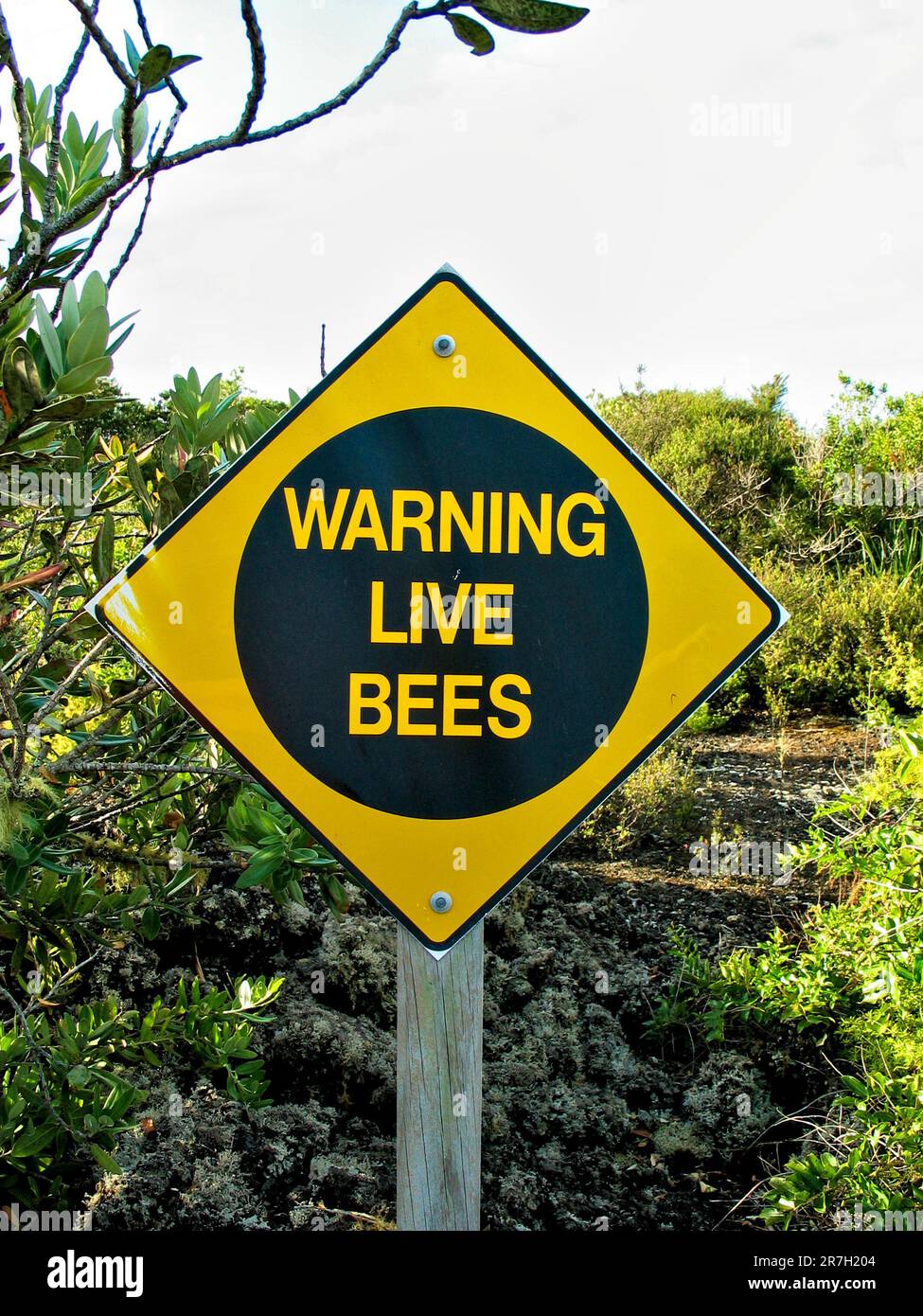 A sign warning abot live bees in the area, perimeter of an apiculture ...