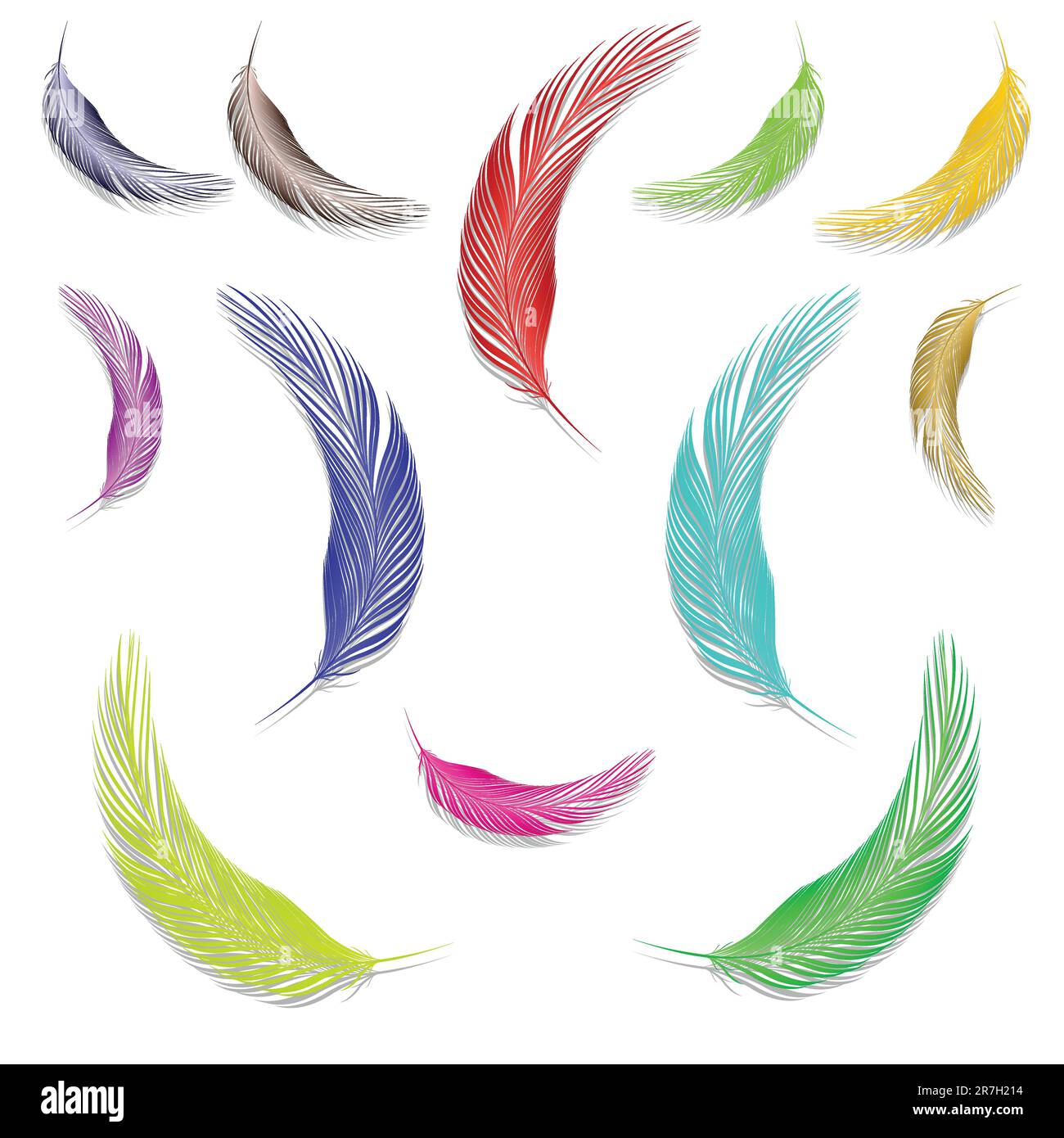 feathers in colors against white background, abstract vector art ...