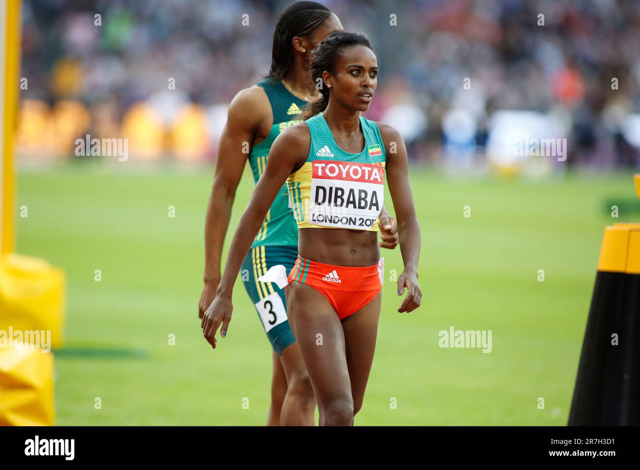 Genzebe Dibaba participating in the 1500m final at the World Athletics ...