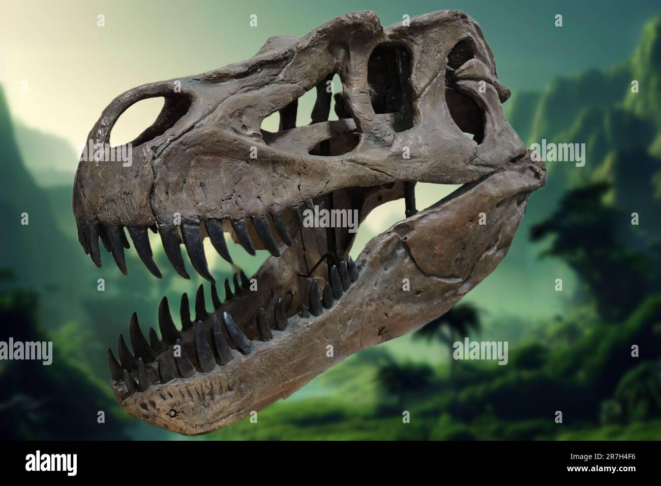 Tyrannosaurus rex (T. rex) is a species of theropod dinosaur that lived ...
