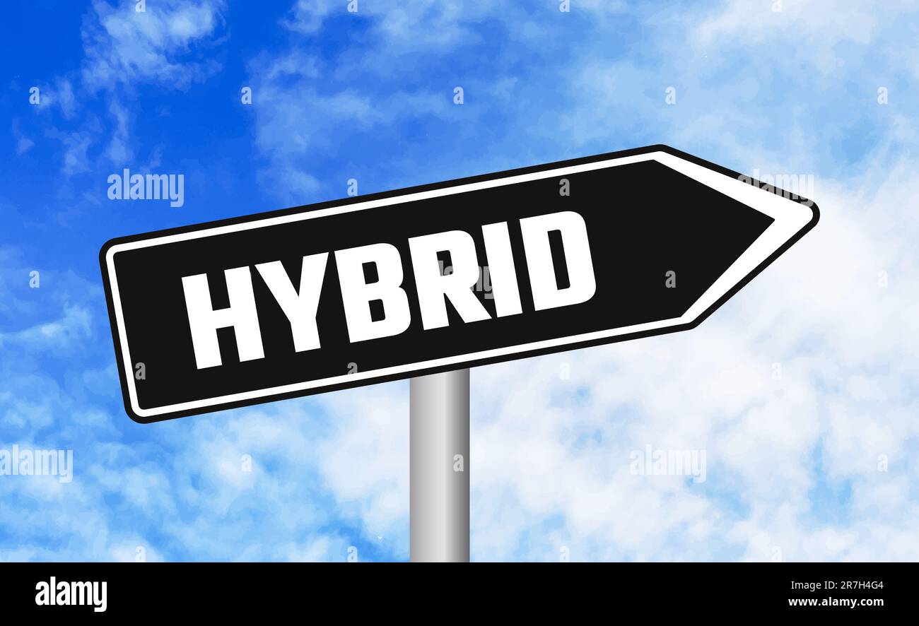 Hybrid road sign on cloudy sky background Stock Photo - Alamy