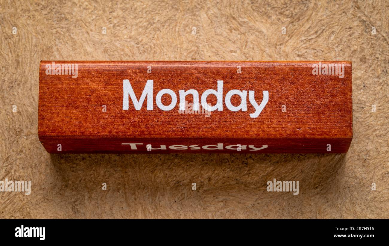 Monday and Tuesday text on wooden block against handmade bark paper in ...