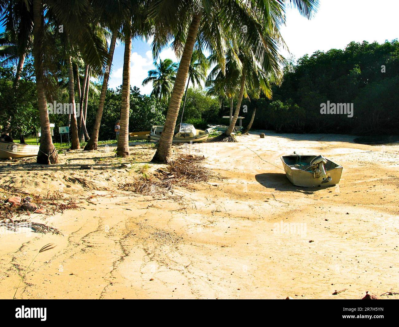 Old boats beached at Portland Roads, Queensland, Australia Stock Photo ...