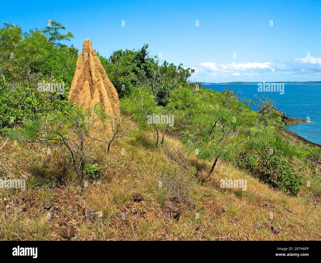 Cathedral termite nest / mound, nature on Mt Adolphus Island, Torres ...