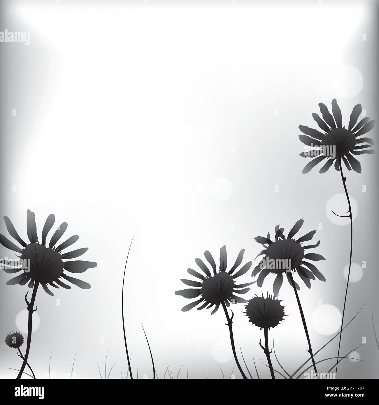 Floral background camomile flower. Vector illustration Stock Vector ...