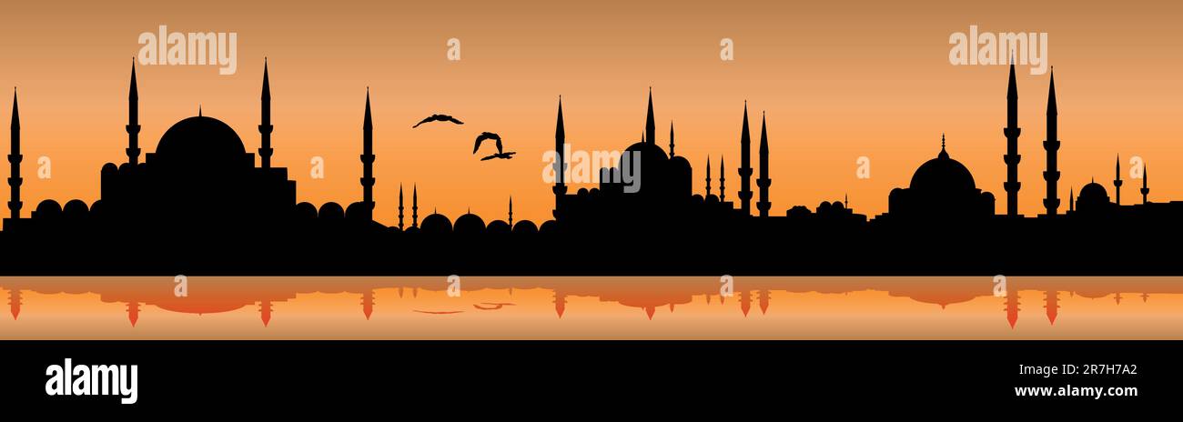 vector cityscape of istanbul Stock Vector Image & Art - Alamy