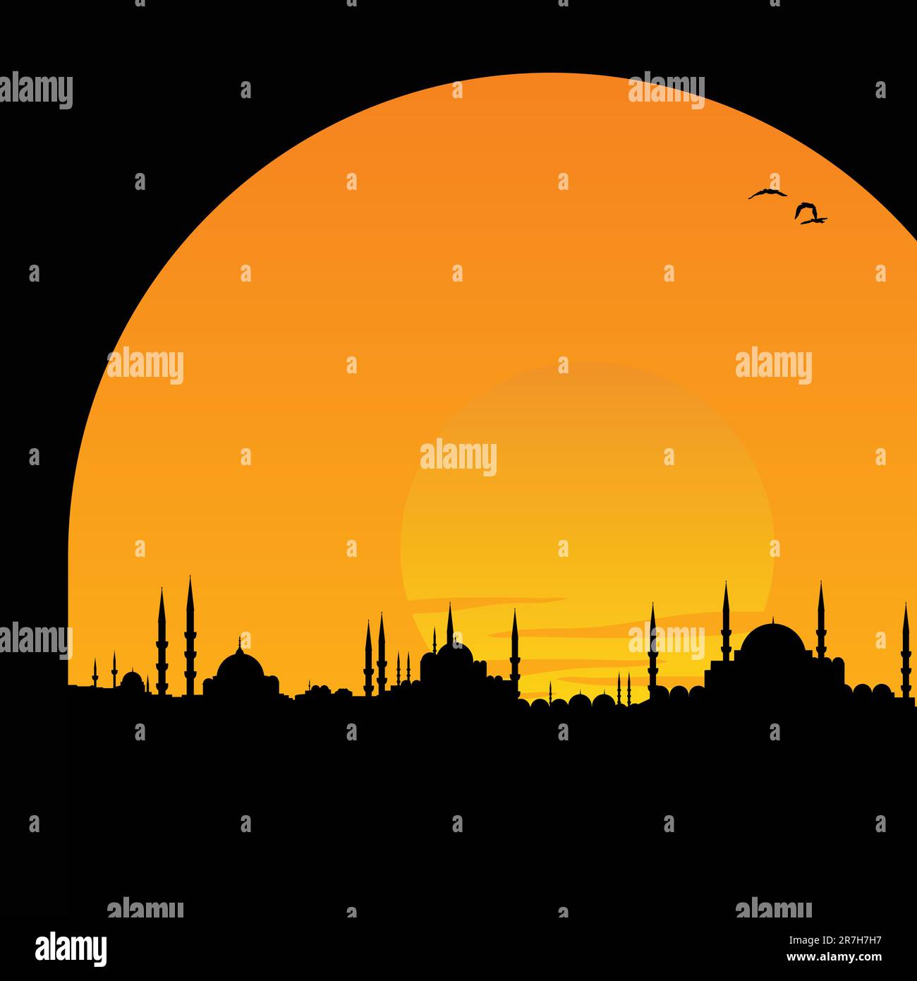 vector cityscape of istanbul Stock Vector Image & Art - Alamy