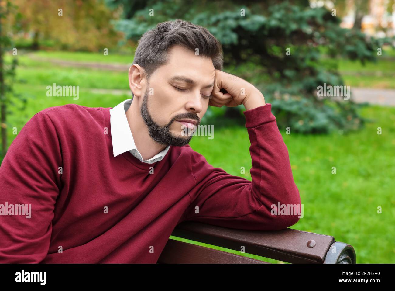Tired man sleeping on bench in beautiful green park Stock Photo - Alamy