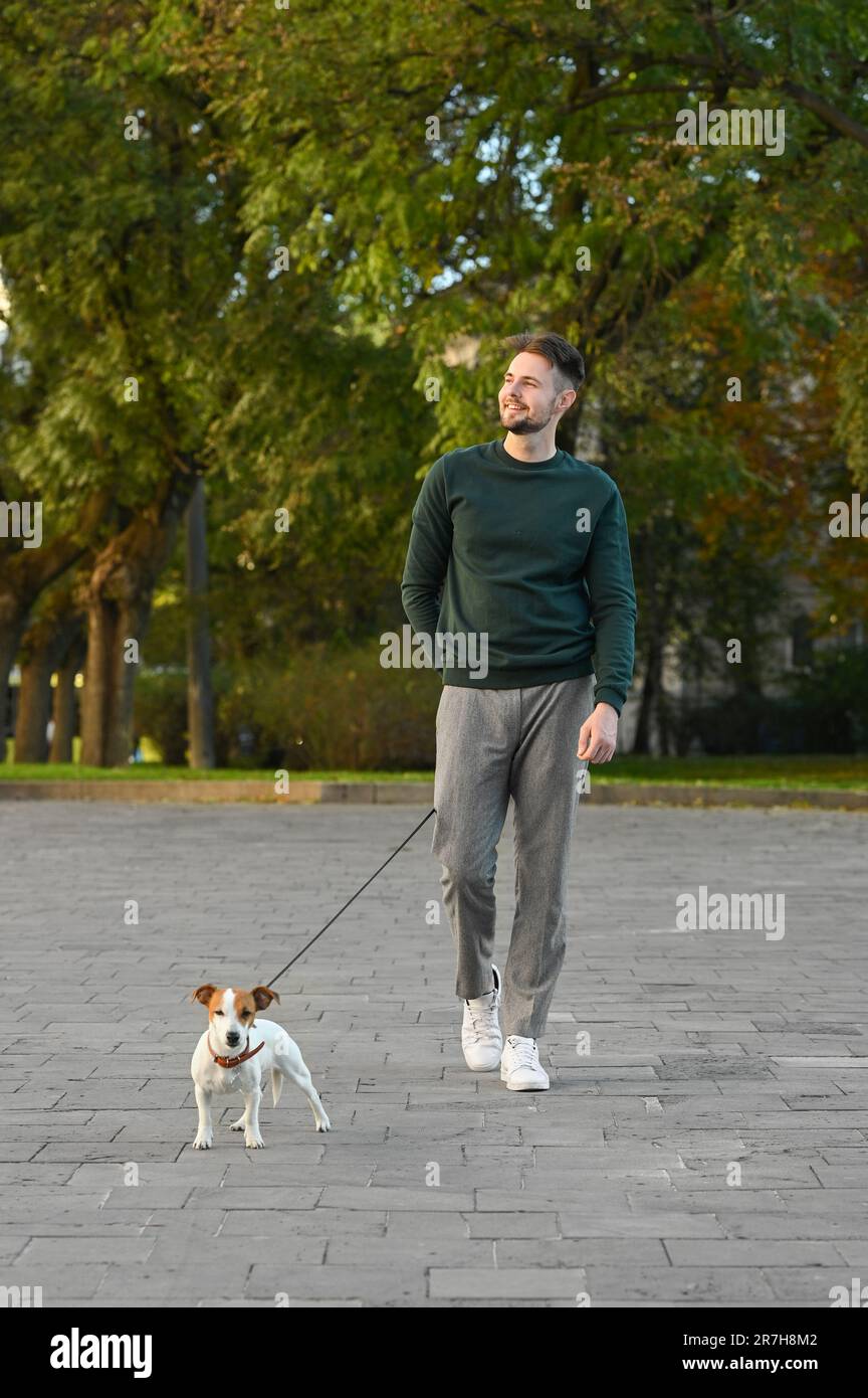 Beautiful male jack russell terrier hi-res stock photography and images ...