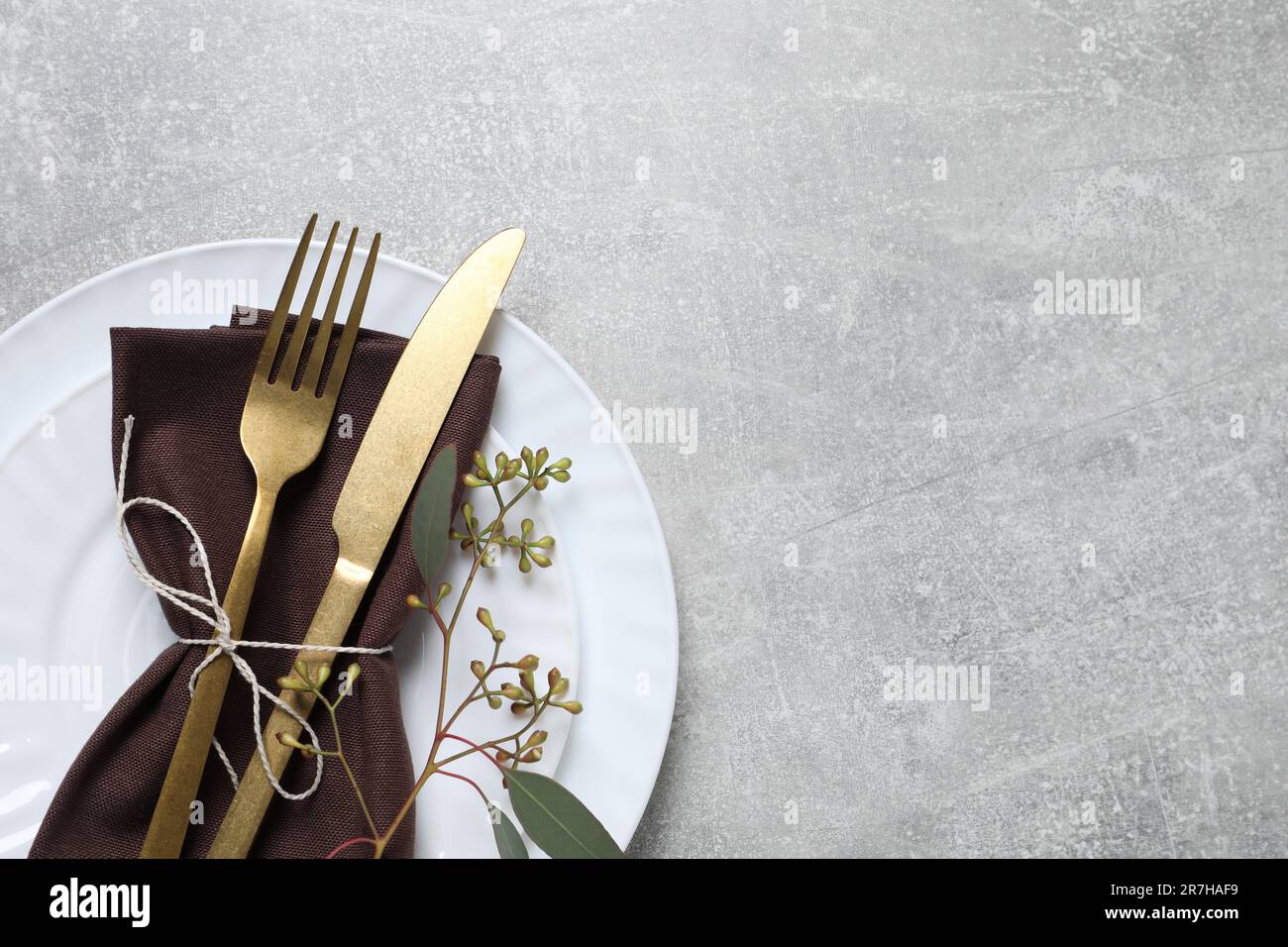Stylish table setting with cutlery and eucalyptus leaves, top view ...