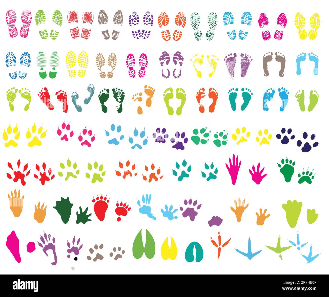 Collection of shoe print, footprint, animal and bird trails Stock ...