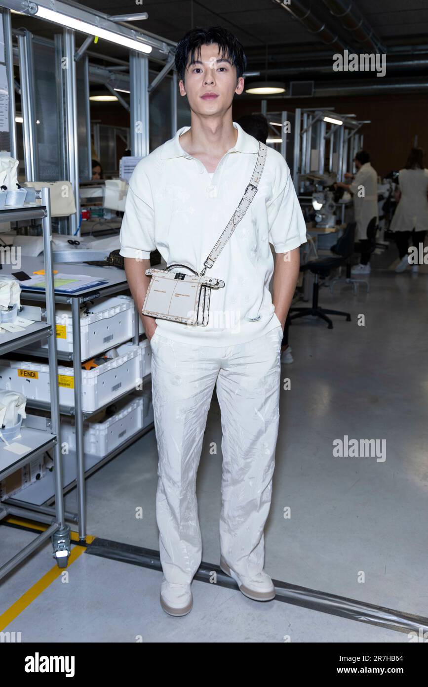 Florence, Italien. 15th June, 2023. Greg, Kuanghan Hsu attendsFENDI Men ...
