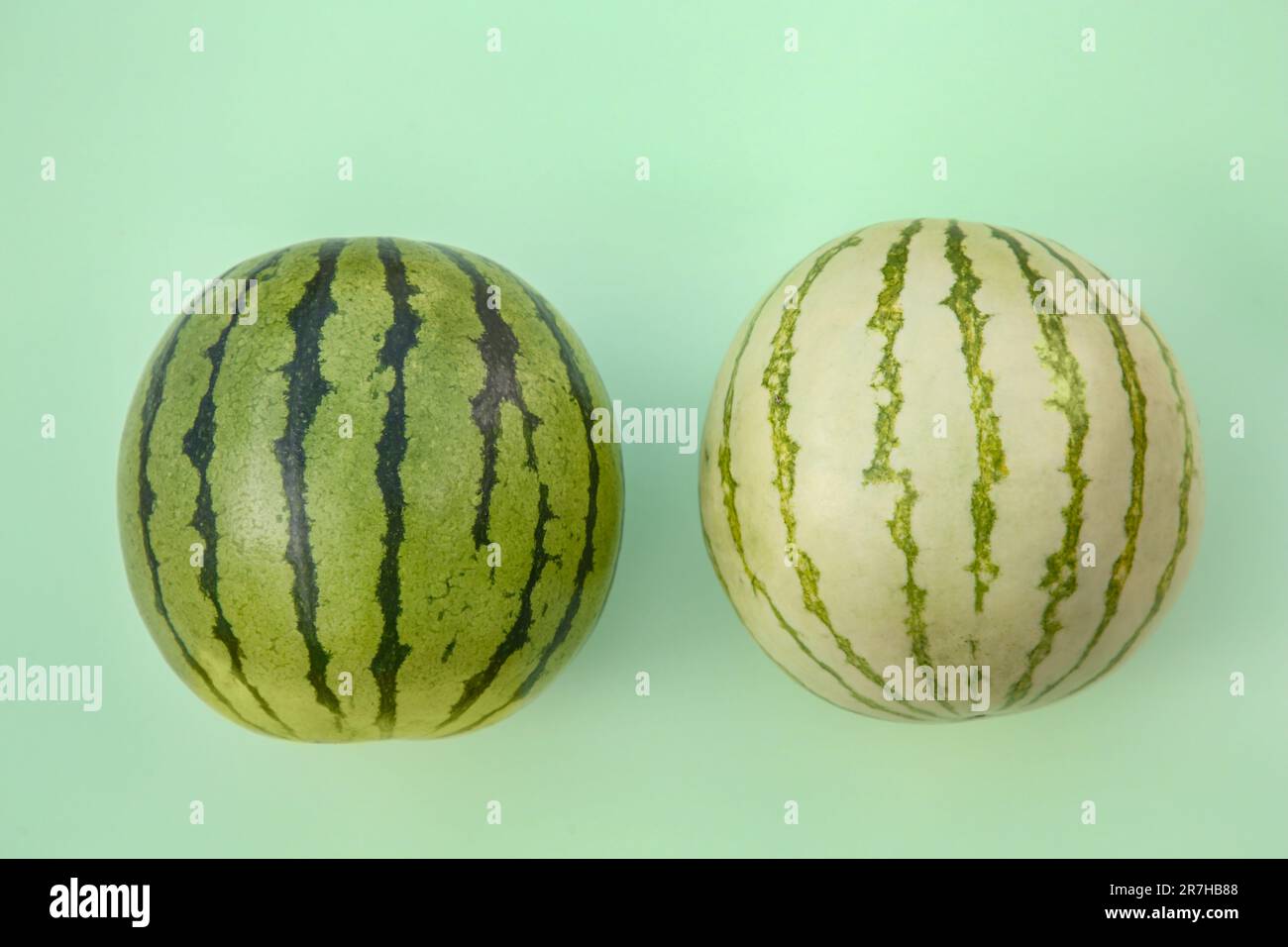 Different whole ripe watermelons on light turquoise background, flat ...