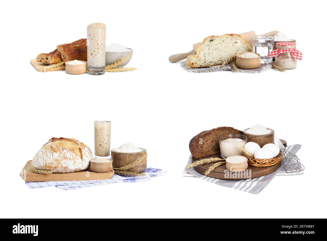 Collage with sourdough starter and different freshly baked bread ...