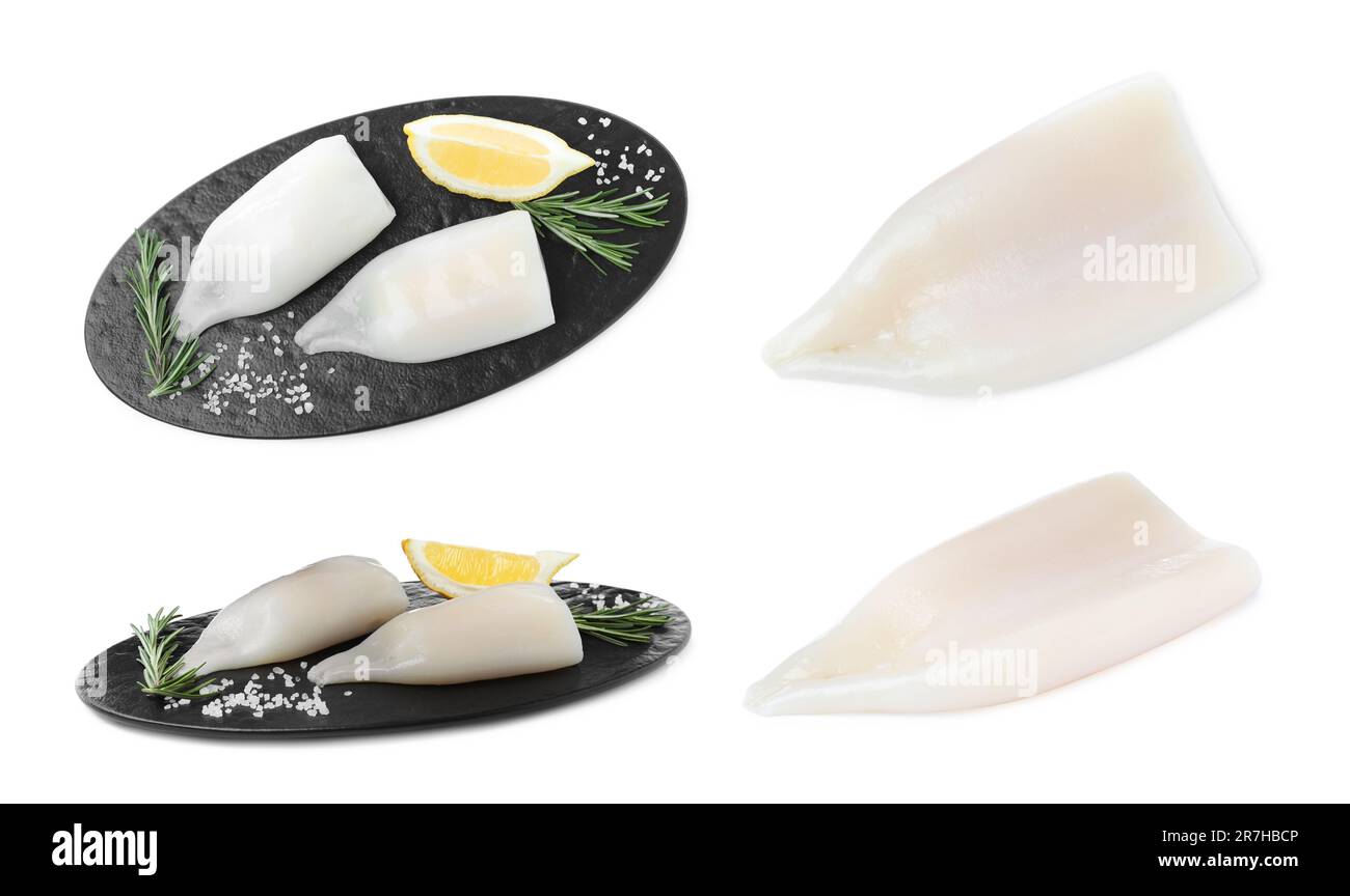 Collage with pieces of squids on white background, top and side views ...