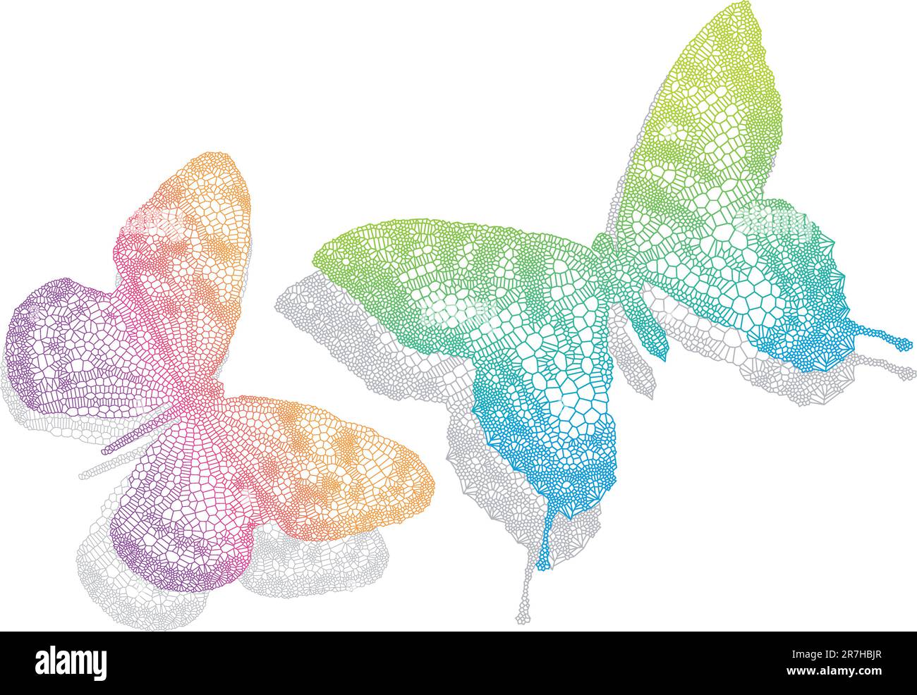 beautiful butterflies with shadow, vector illustration Stock Vector ...