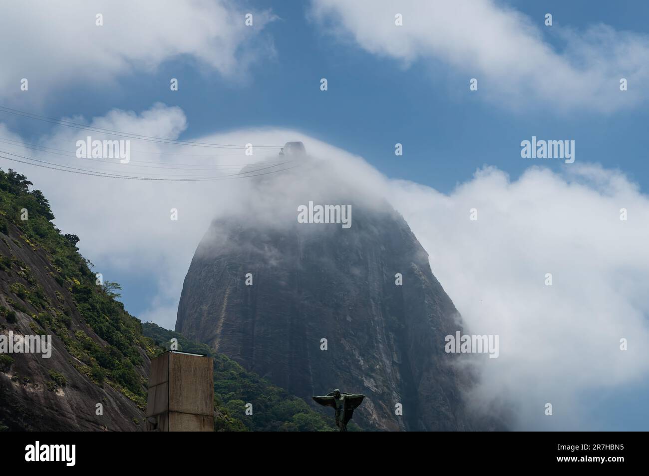 Thick forest area aerial hi-res stock photography and images - Alamy