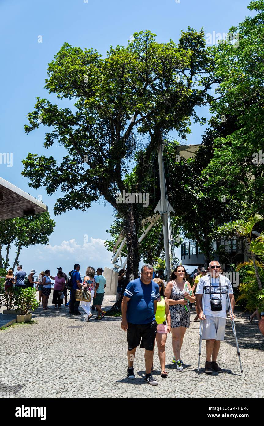 Tourists walking around the outdoor area full of big trees and green ...