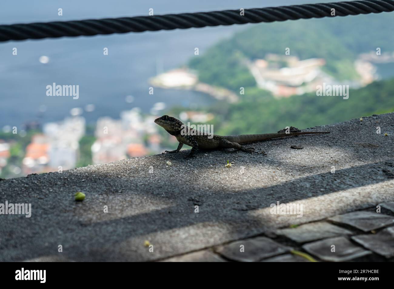 Imbituba hi-res stock photography and images - Alamy