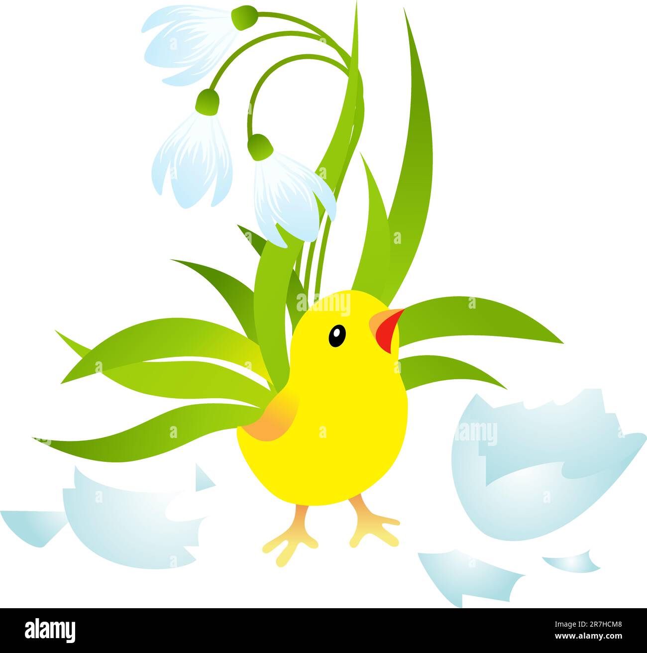 Miniature Gerbera Stock Vector Images Alamy