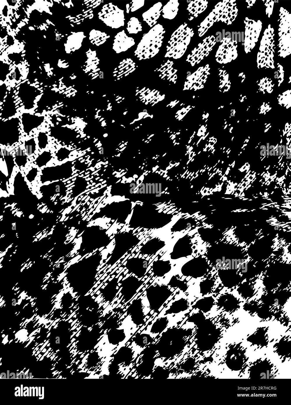 Skin texture Black and White Stock Photos & Images - Alamy