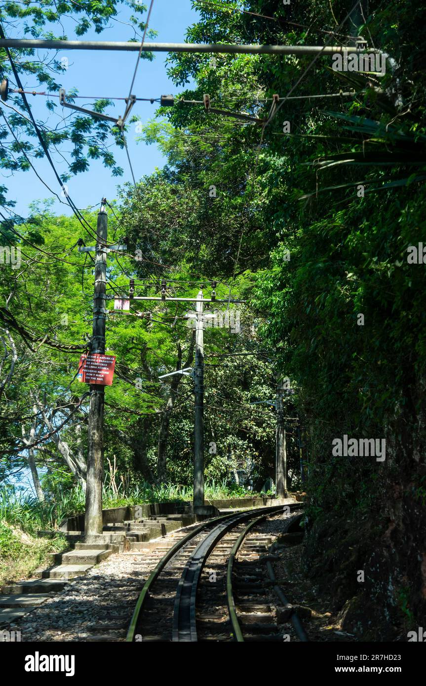 Corcovado Rack Railway train tracks running between the dense Tijuca forest in Santa Teresa ...