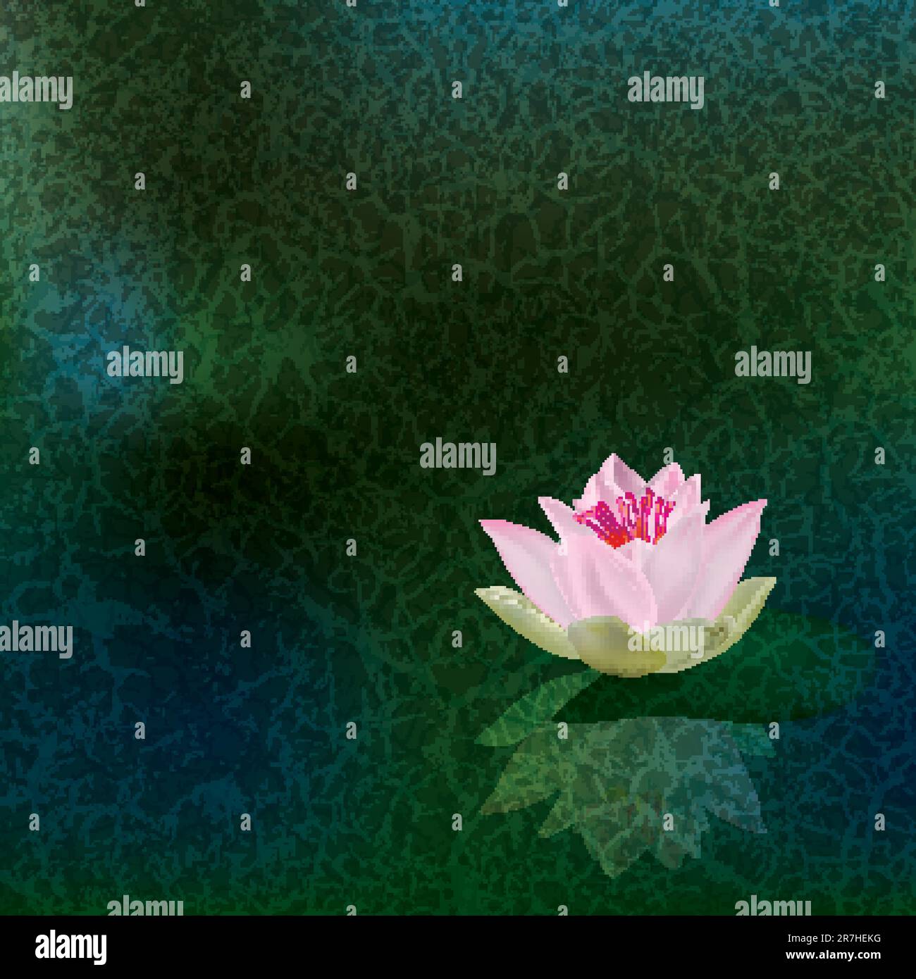 Illustration botanical garden pond Stock Vector Images - Alamy