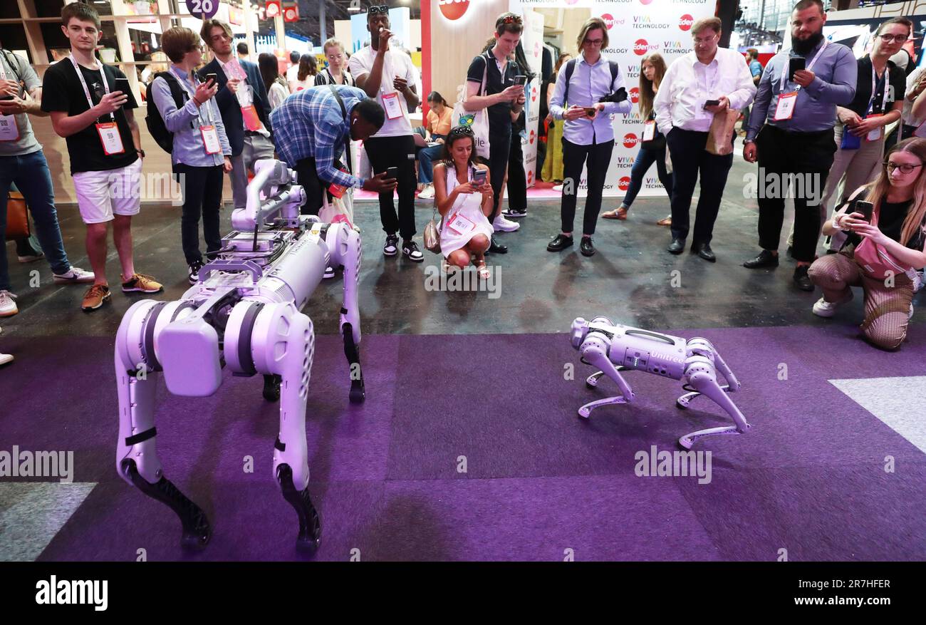 Unitree b1 hi-res stock photography and images - Alamy