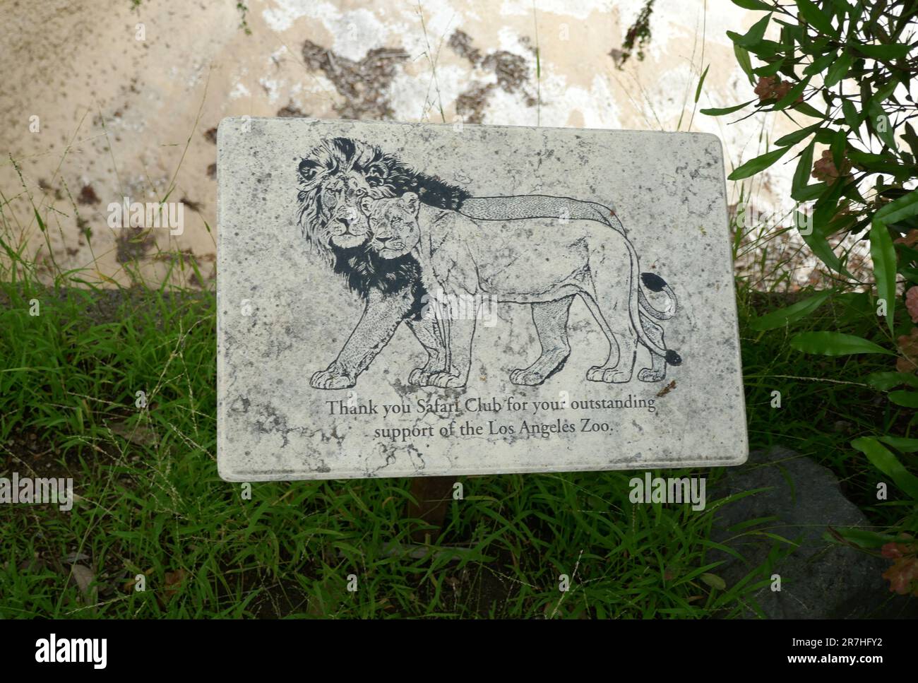 Los Angeles, California, USA 14th June 2023 Lions Plaque in Former ...