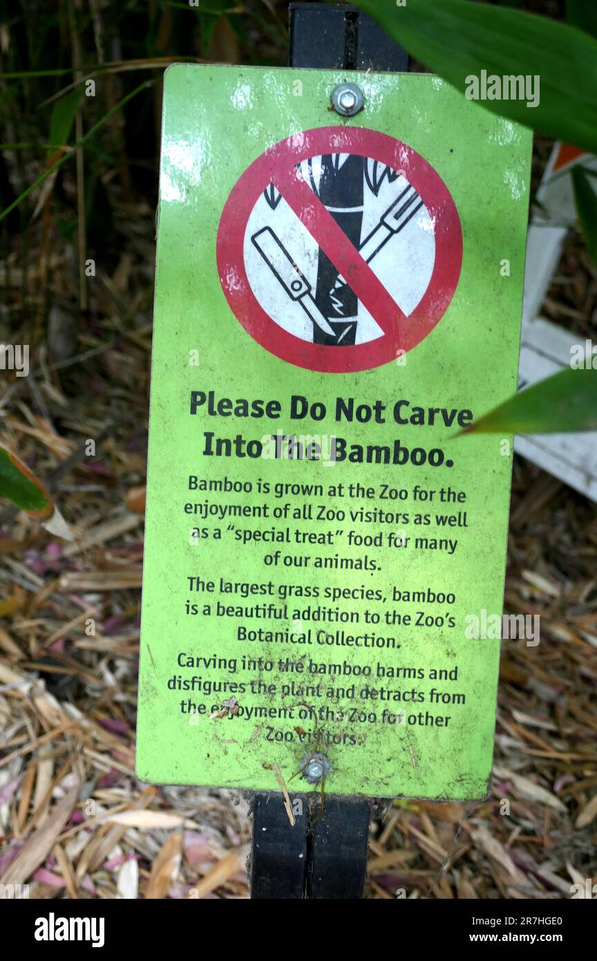 Los Angeles, California, USA 14th June 2023 Please Do Not Carve Into ...