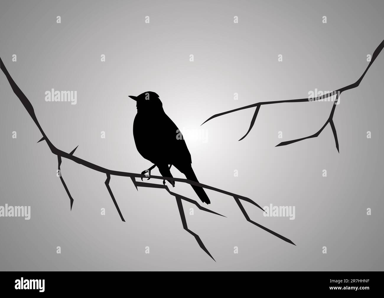 vector illustration of bird silhouette sitting on the branch Stock ...