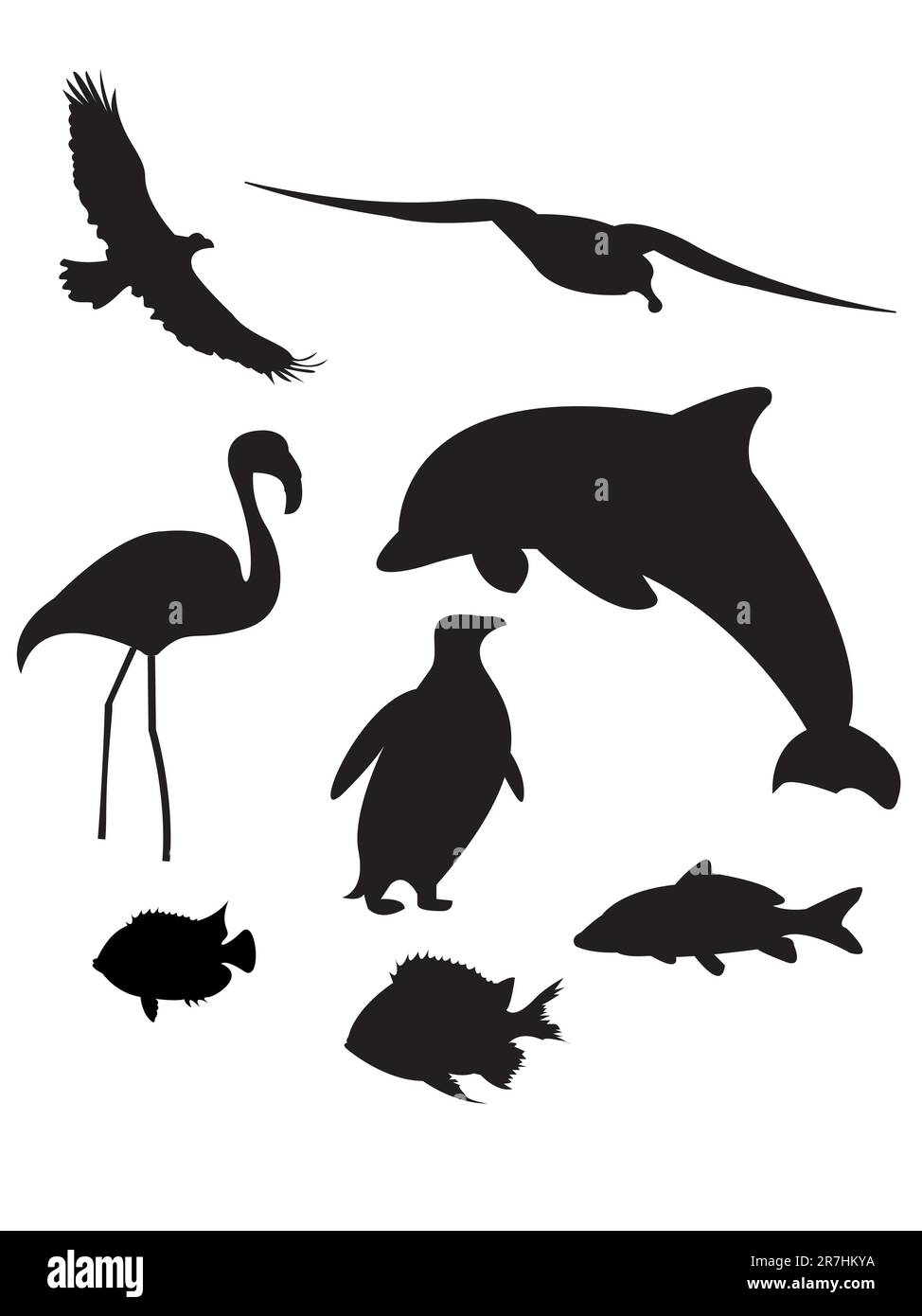 400 animals hi-res stock photography and images - Alamy