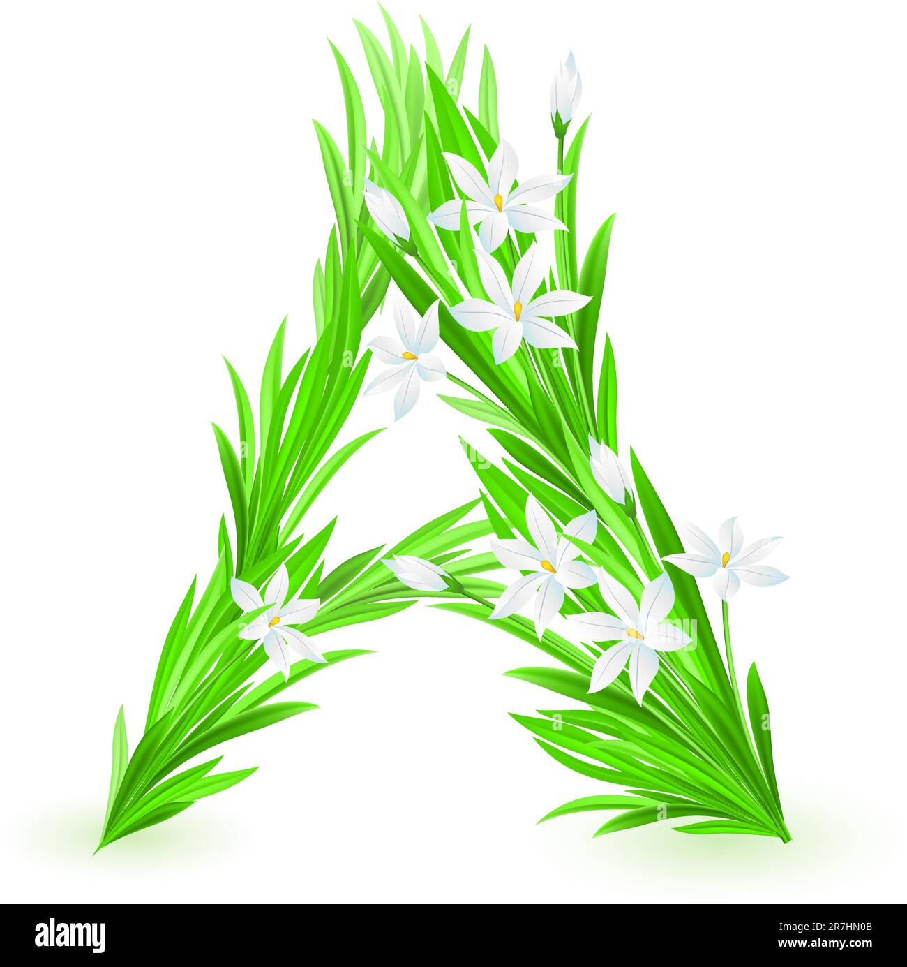 One letter of spring flowers alphabet - A. Illustration on white ...