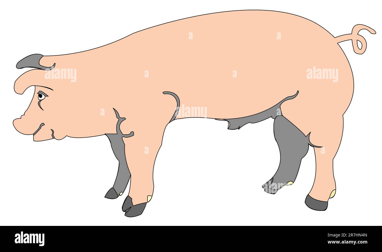 cartoon of a pig, vector art illustration; more cartoons in my gallery ...