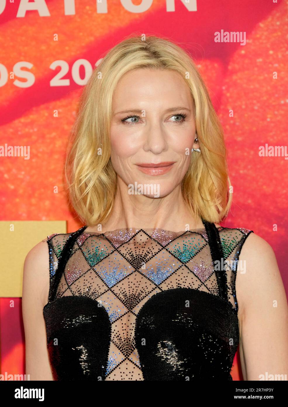 New York, New York, USA. 15th June, 2023. Cate Blanchette during The ...