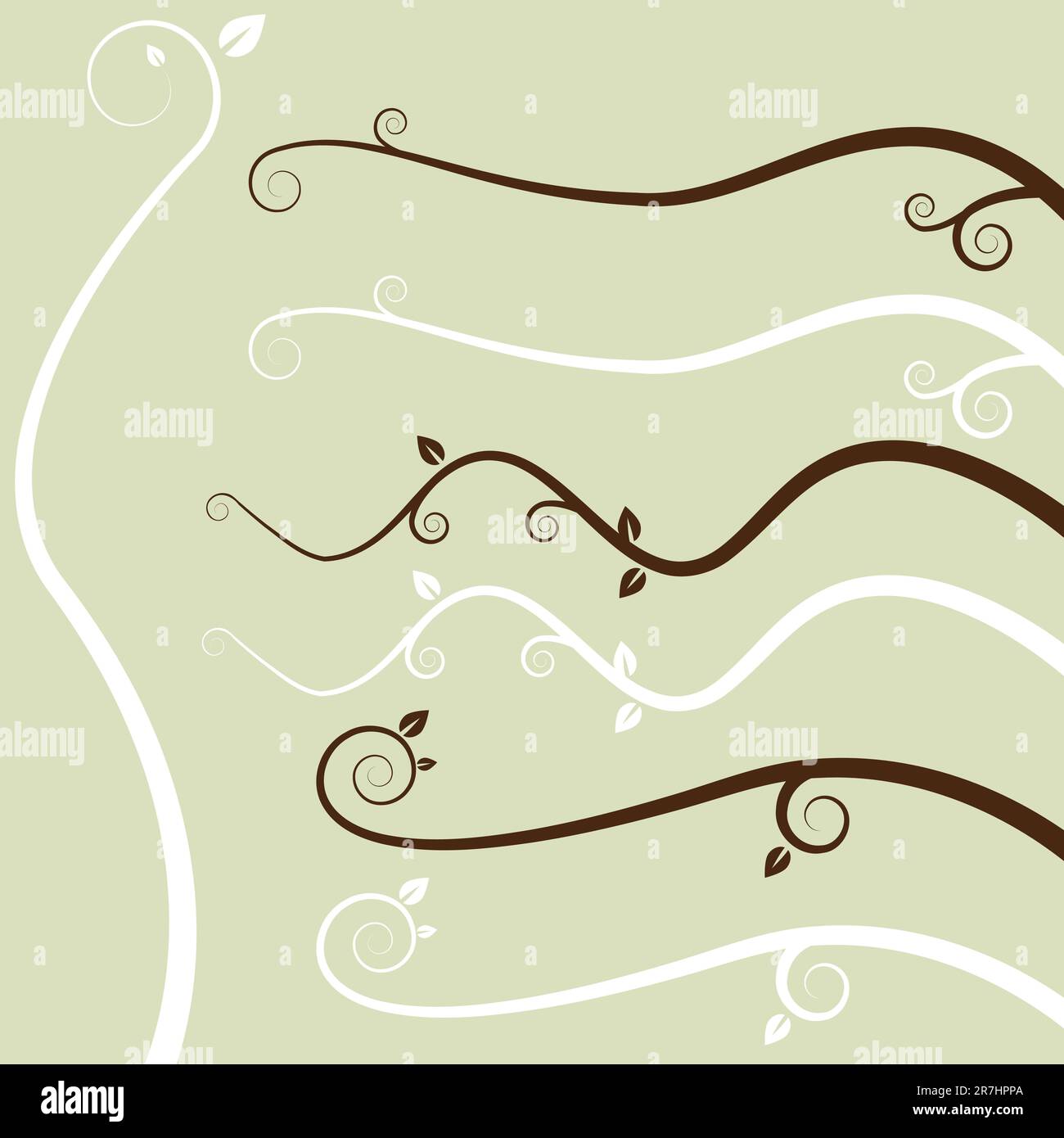 Image swirl leaf vine drawing Stock Vector Images - Alamy